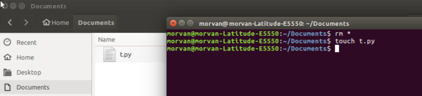 Linux Nano Cat And File Programmer All
